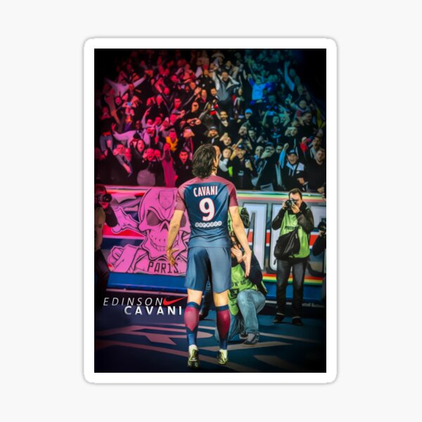 "Wallpaper Cavani Illustration" Sticker by anisavera | Redbubble