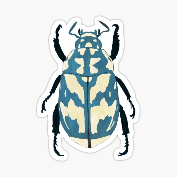 "Blue beetle insect" Sticker for Sale by Elbuenlimon | Redbubble