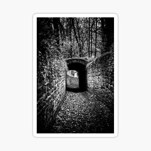 "Secret walkways" Sticker for Sale by Femaleform | Redbubble
