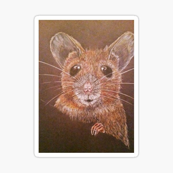 "Field Mouse" Sticker for Sale by Jojoahatton | Redbubble