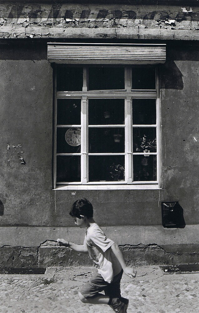 "Blumen Boy" by Philip Rogan | Redbubble