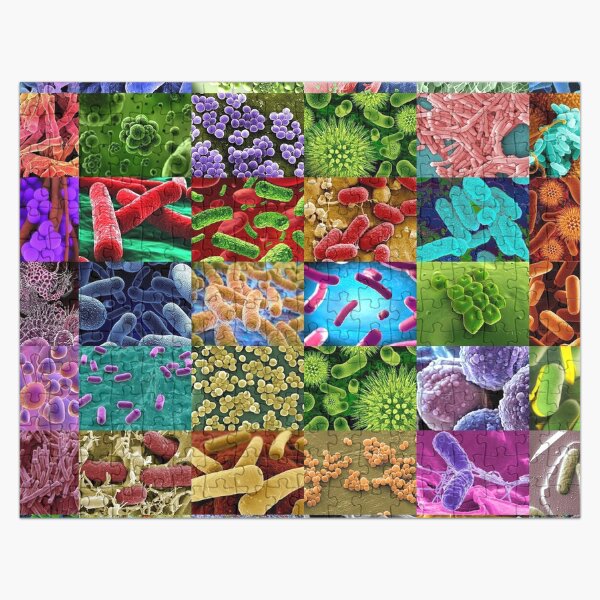 "Bacteria" Jigsaw Puzzle for Sale by Montage-Madness | Redbubble