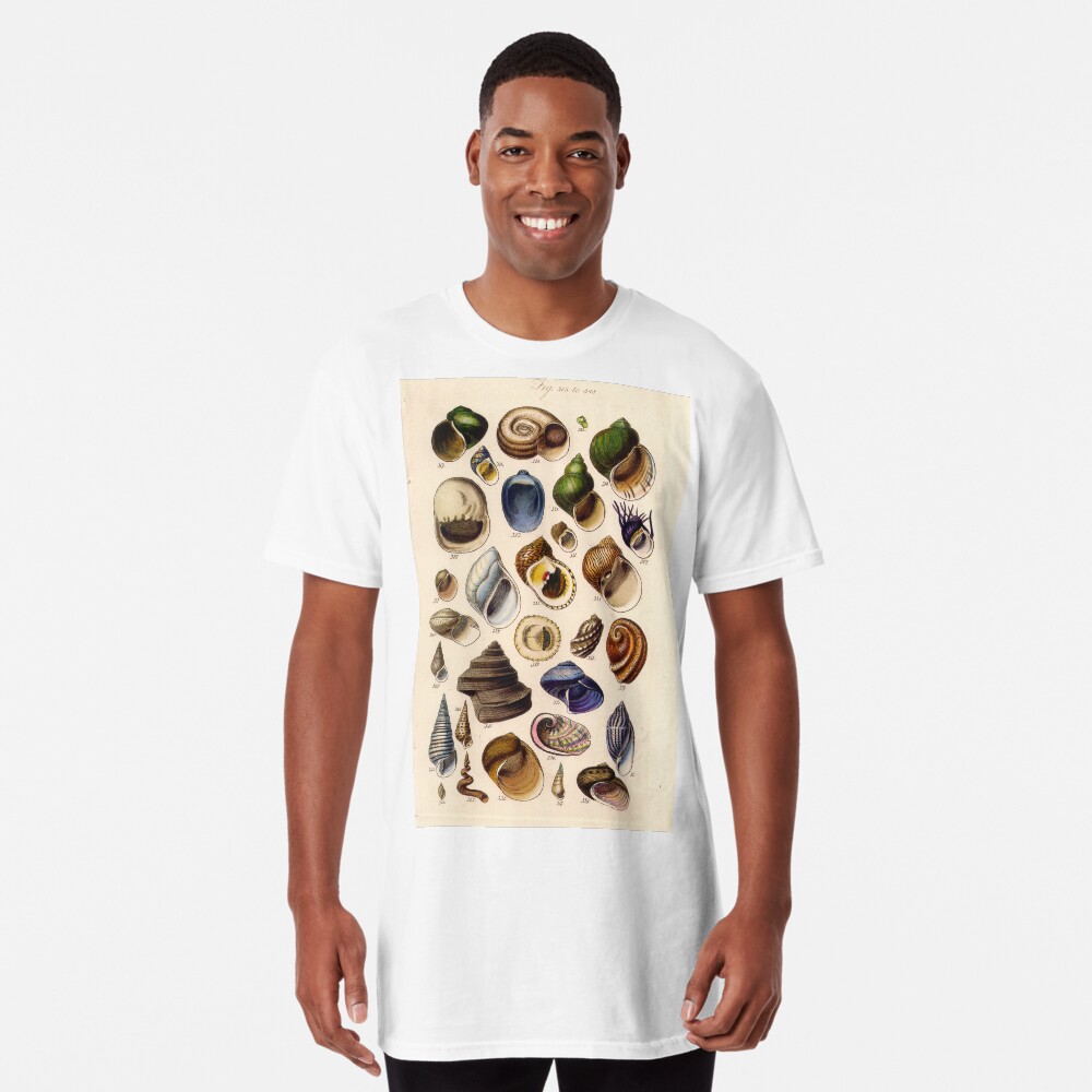 "Vintage biology illustration - Conchological Manual Plate 25. helix ...