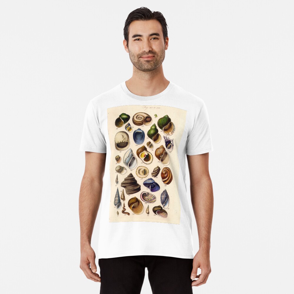 "Vintage biology illustration - Conchological Manual Plate 25. helix ...