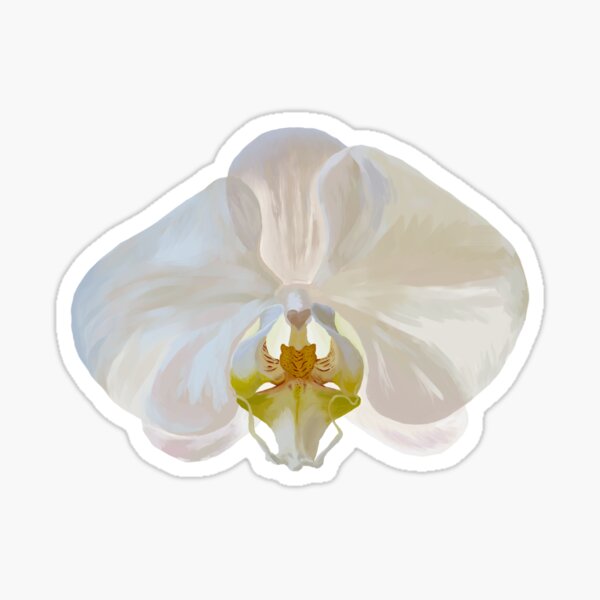 "White Orchid Sticker" Sticker by pandypudding | Redbubble