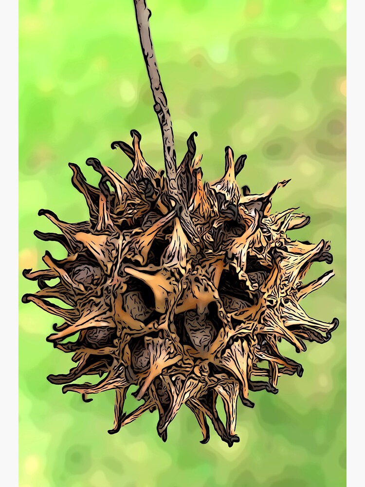 "Seed" Sticker for Sale by ender456 | Redbubble