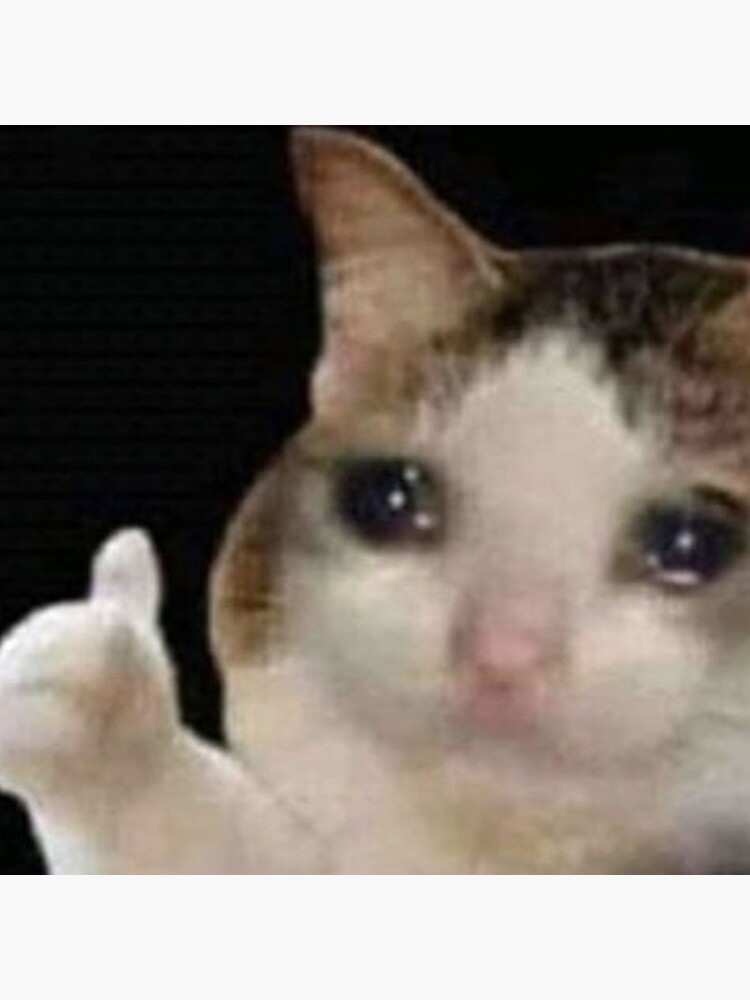 "Sad Wholesome thumbs up cat" Art Board Print for Sale by rharker09 ...