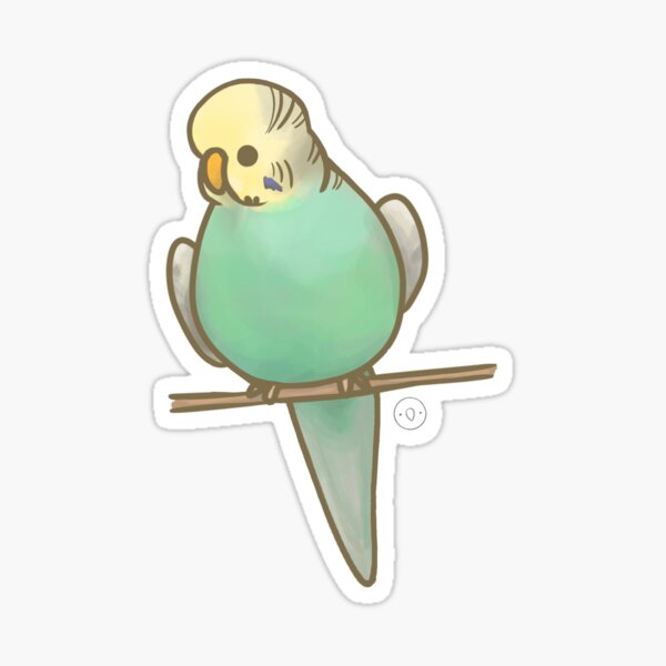 "cute budgie" Sticker for Sale by birbify | Redbubble