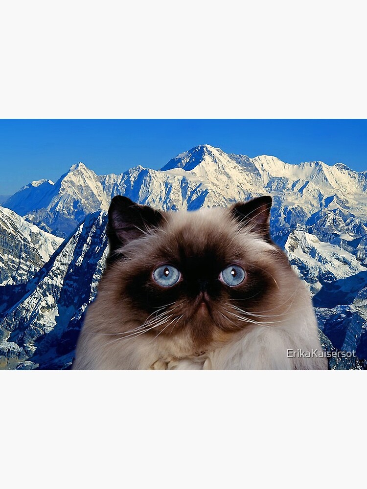 "Himalayan Cat " Mask for Sale by Erika Kaiseršot | Redbubble