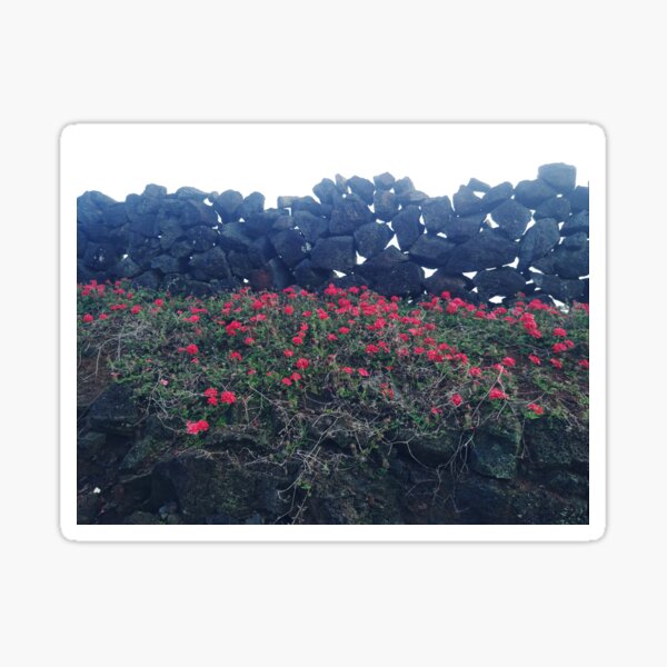 "Jeju Island's stone walls and full blooming wild flowers." Sticker by ...