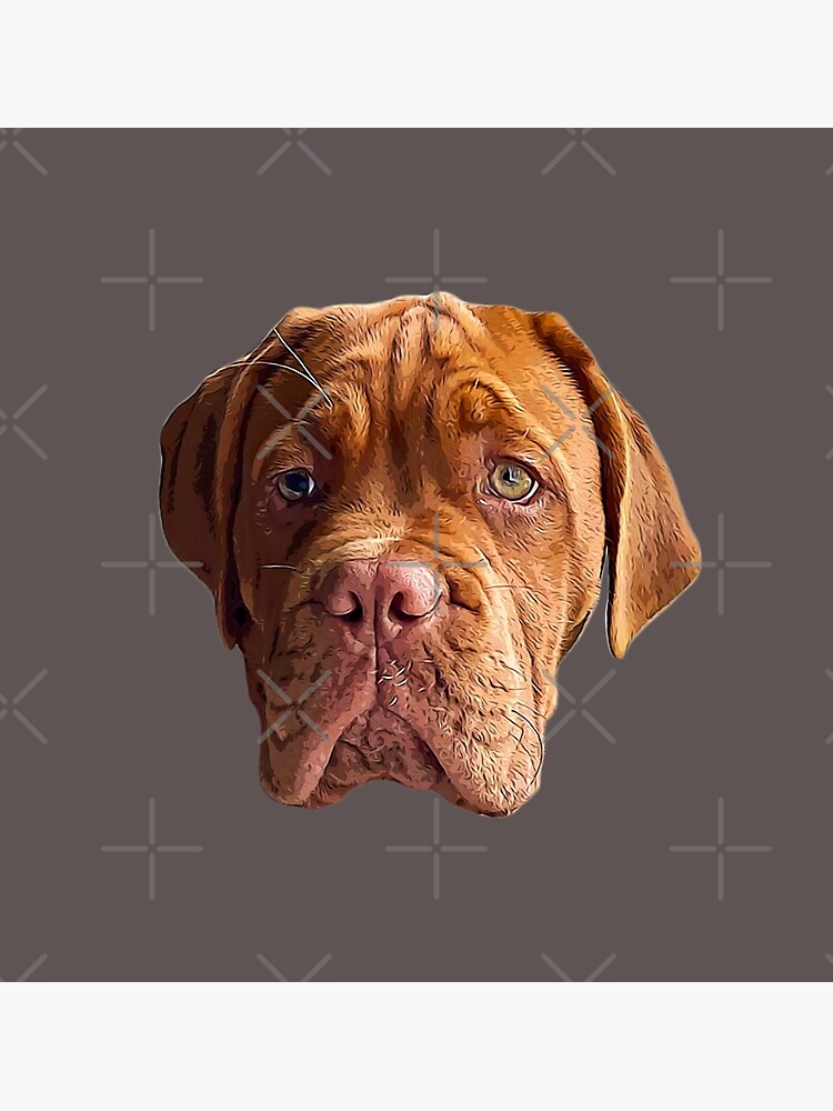 "Dogue de bordeaux French Mastiff Puppy Dog" Poster by ElegantCat ...
