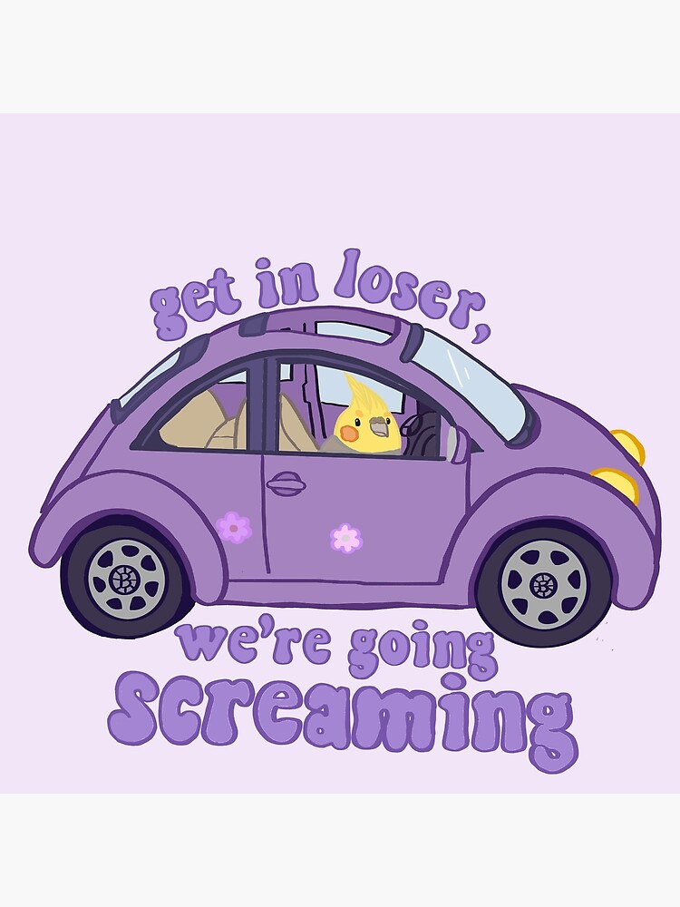 Cockatiel Meme Poster For Sale By Bulieb Redbubble