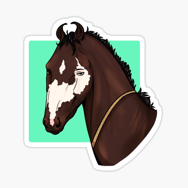 "Marwari horse" Sticker by Hokkio | Redbubble