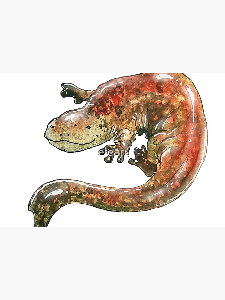 "Watercolor Hellbender Salamander " Mask for Sale by eleary | Redbubble