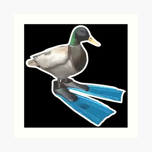Flippers Art Prints | Redbubble