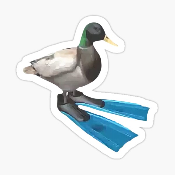 "Duck with Flippers Meme" Sticker for Sale by alexbassa | Redbubble