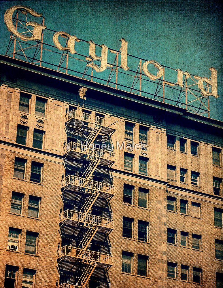 "1924 Gaylord Apartments Vintage Neon Sign" by Honey Malek | Redbubble