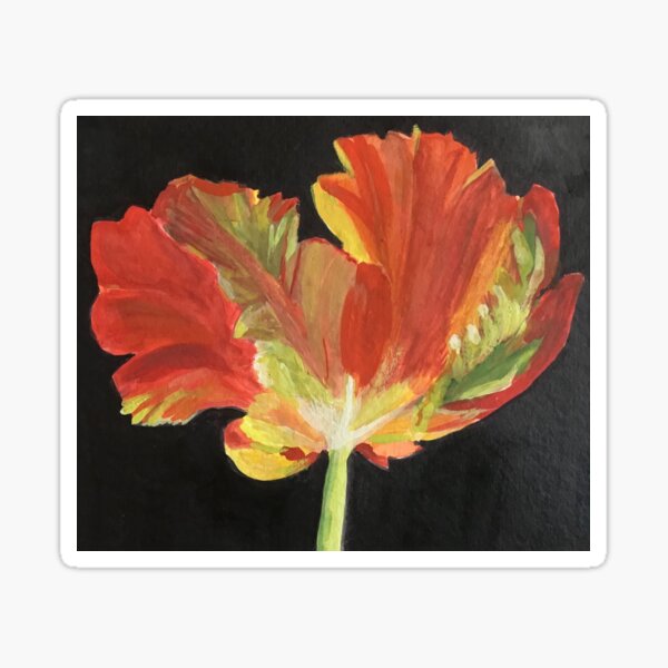 "Midnight Parrot Tulip Original Watercolor Art" Sticker for Sale by ...