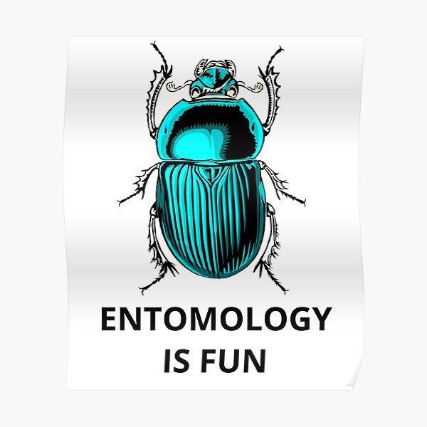 Entomology Posters | Redbubble