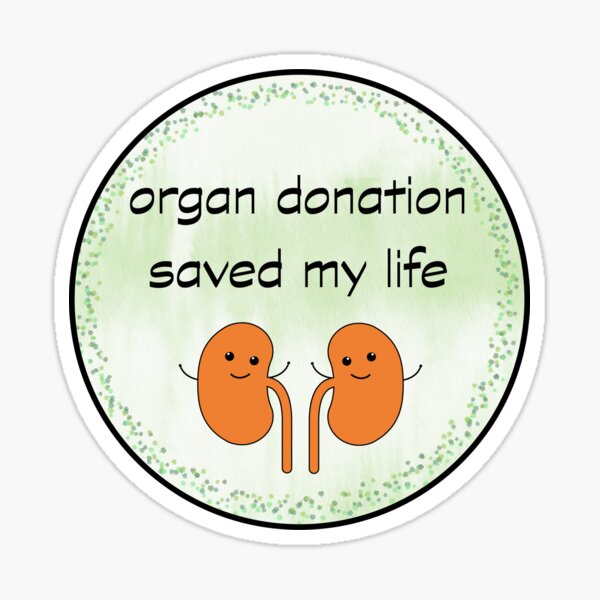 "Organ Donation - Kidney" Sticker by peytonazar | Redbubble