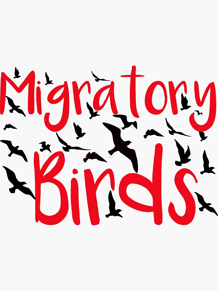 "migratory birds Migration des oiseaux" Sticker for Sale by silverass ...