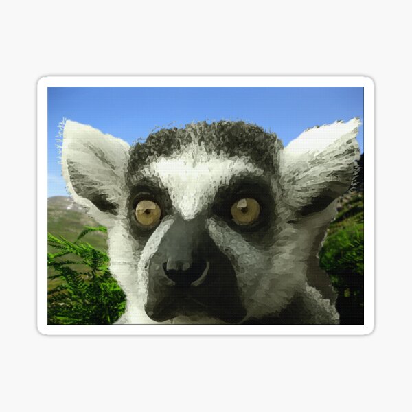 "Lemur Funny Face Mask" Sticker for Sale by FunSilly | Redbubble