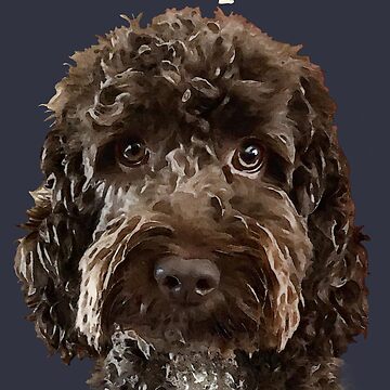 "Chocolate Brown Cockapoo Dog " Art Board Print for Sale by ...