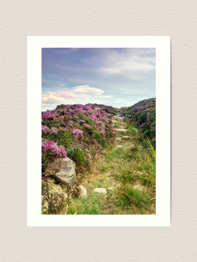 "Heather on Simonside Hills" Art Print by frostii77 | Redbubble
