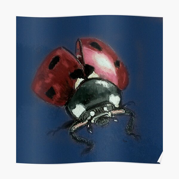 "Red Lady Bird insect hand painted on blue background" Poster by ...