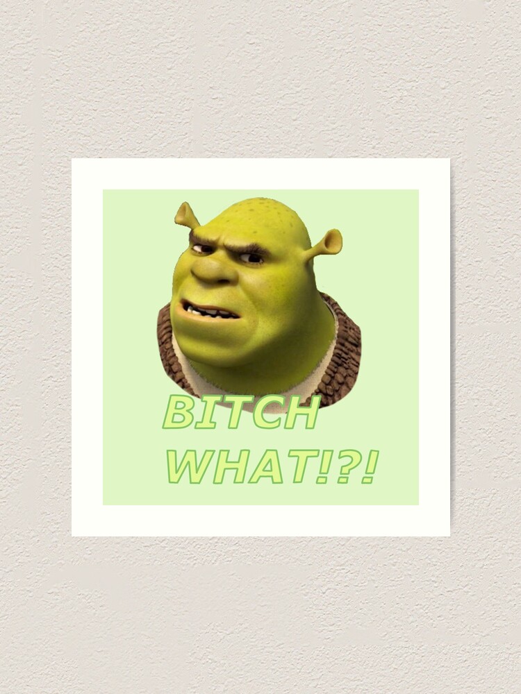 "Confused Shrek" Art Print for Sale by GarfieldsLitter | Redbubble
