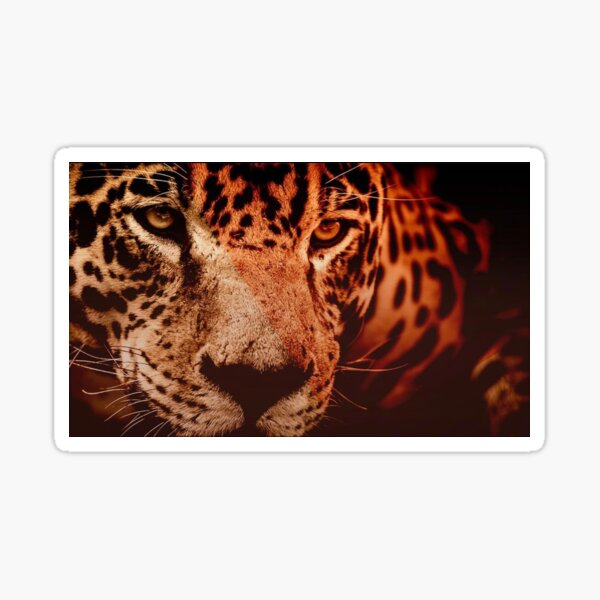 "Jaguar " Sticker for Sale by SummerDragao | Redbubble