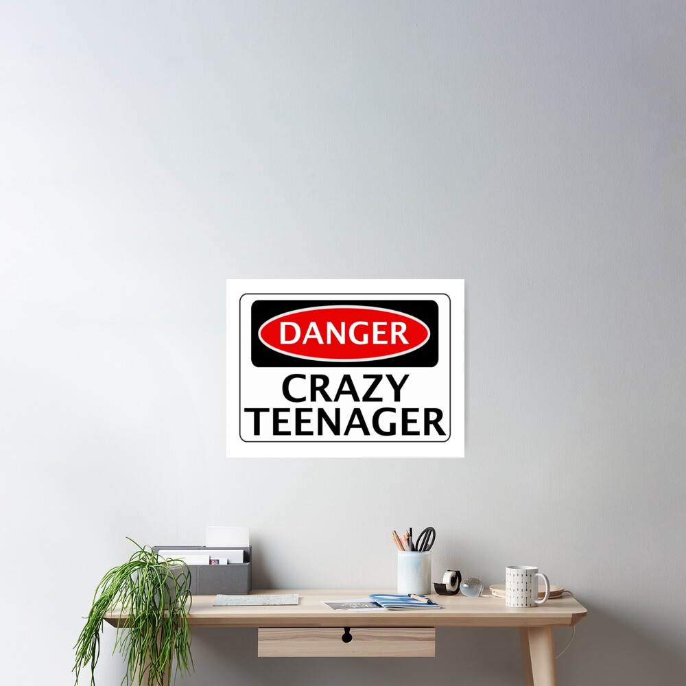 "DANGER CRAZY TEENAGER FAKE FUNNY SAFETY SIGN SIGNAGE" Poster by ...