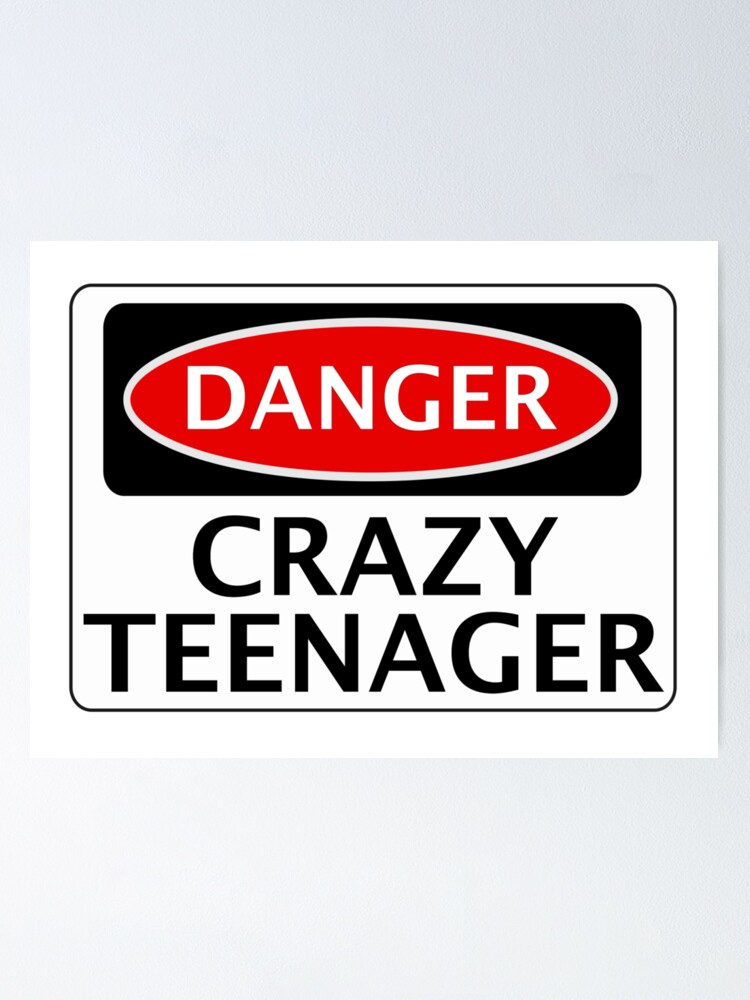 Danger Crazy Teenager Fake Funny Safety Sign Signage Poster By