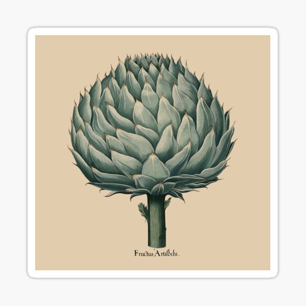 "Custard Apple" Sticker for Sale by meteora | Redbubble