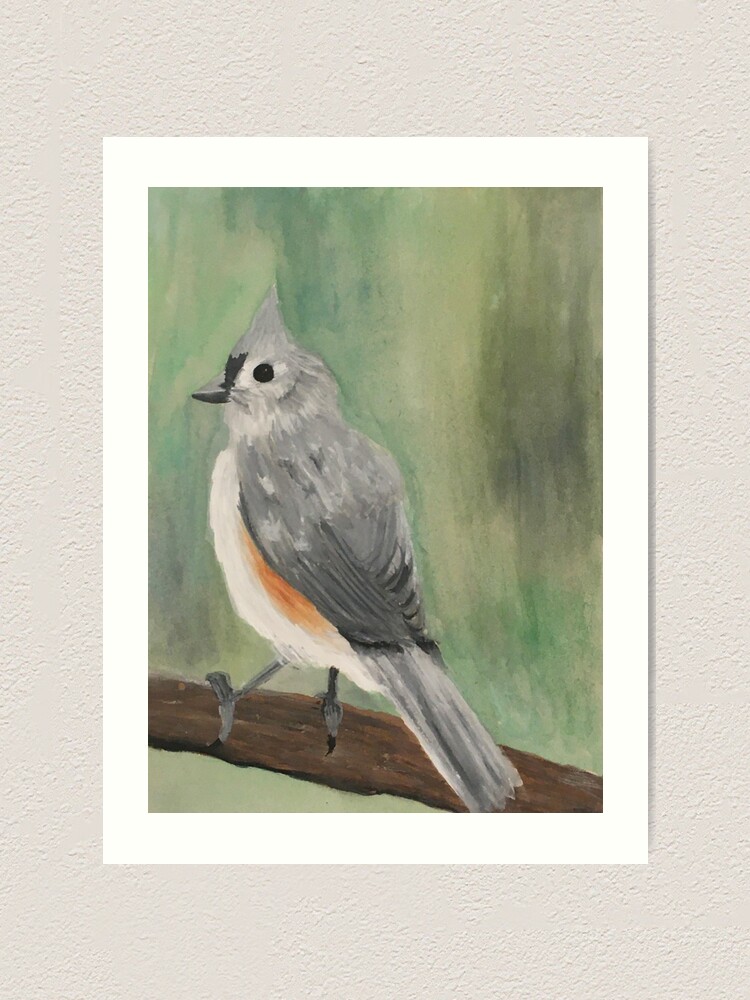 "Tufted Titmouse" Art Print for Sale by JEnglandArt | Redbubble