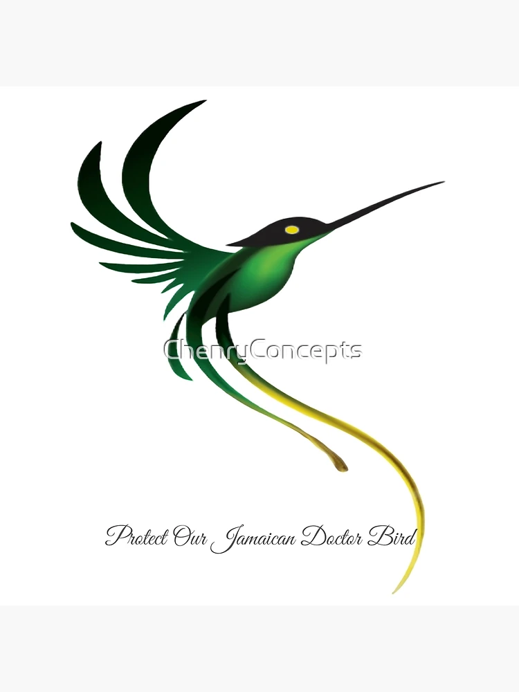The Doctor Bird Drawing Doctor Bird Productions Inc.