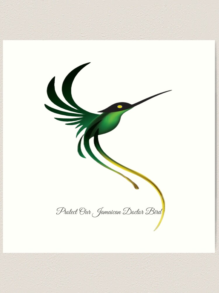 Doctor Bird Painting 11 Best Doctor Bird Tattoo Ideas | Birds Tattoo,