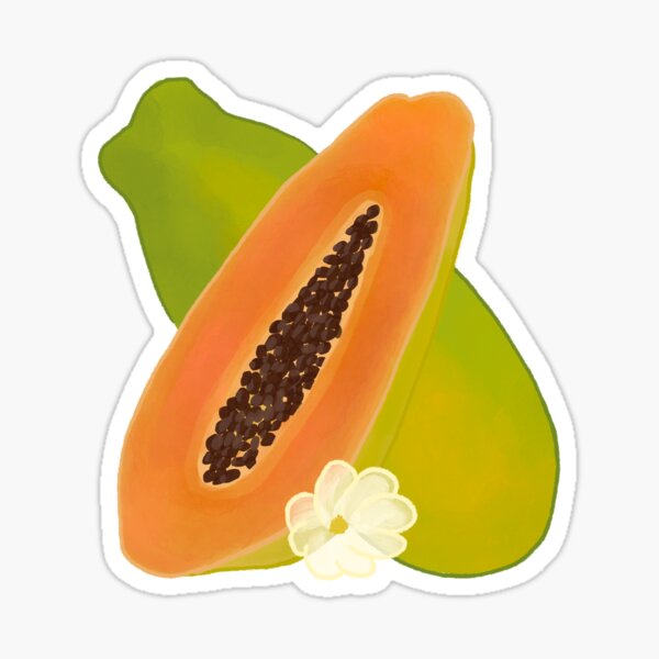 "Papaya" Sticker for Sale by sophiasticating | Redbubble