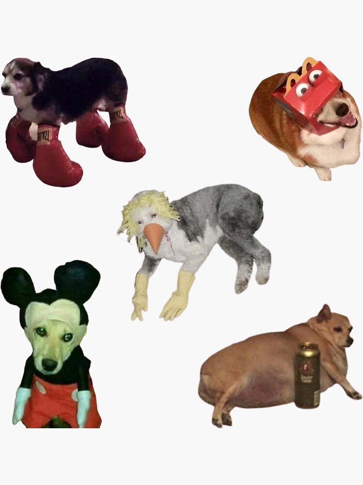 "Cursed dogs sticker pack" Sticker for Sale by rcouvil2 | Redbubble
