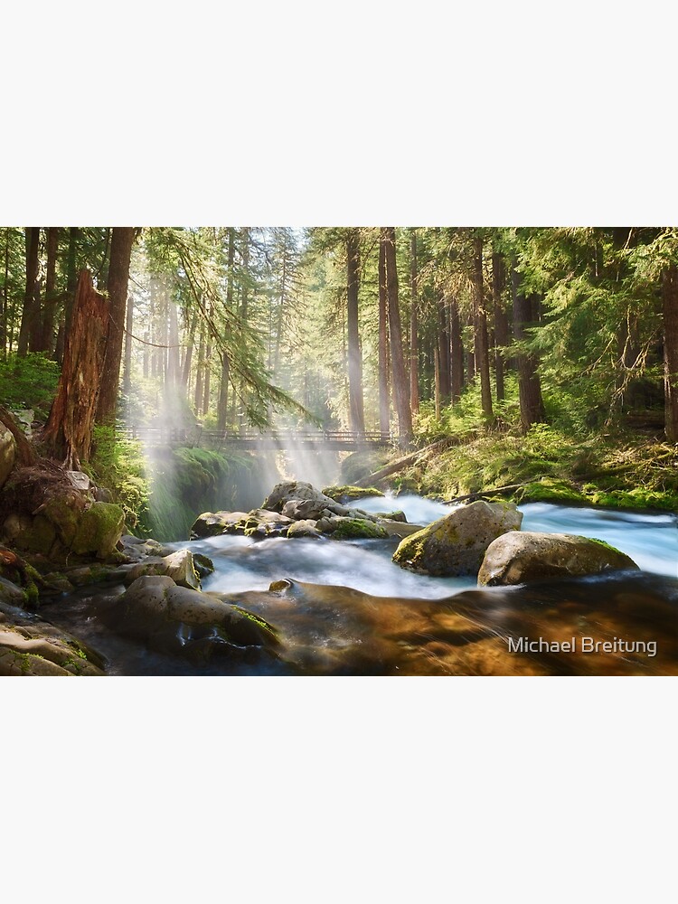 "Sol Duc" Poster for Sale by mibreit | Redbubble
