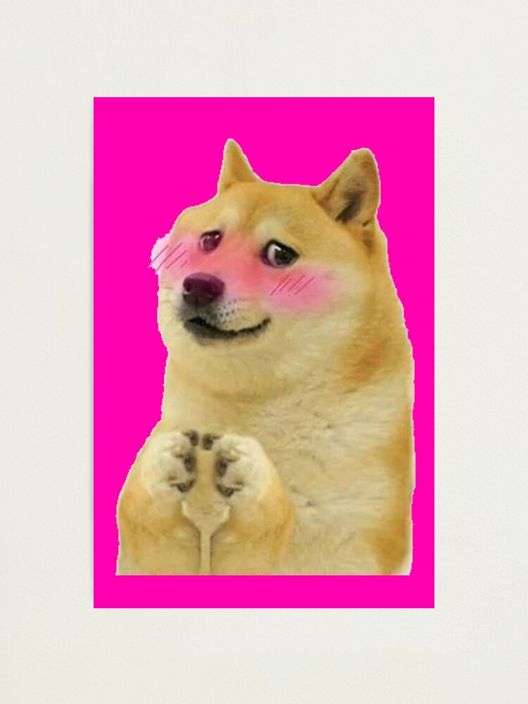 Lámina fotográfica «Shy Doge Funny Meme Cheems Shina Inu Máscara para ...