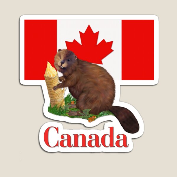 "Canadian Flag and Beaver" Magnet for Sale by SpiceTree | Redbubble