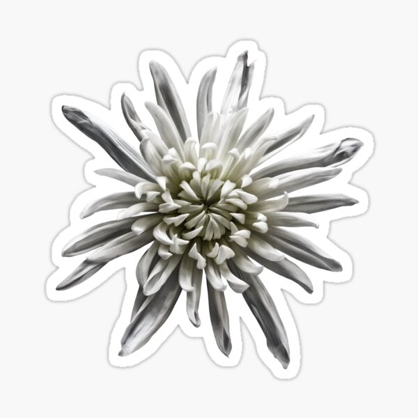 "Mum Floral Pattern - Mum's the word - Black and White Floral Design ...