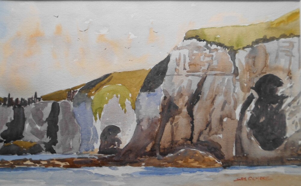 "White Cliffs of Portrush, Northern Ireland" by Sam Gilmore | Redbubble