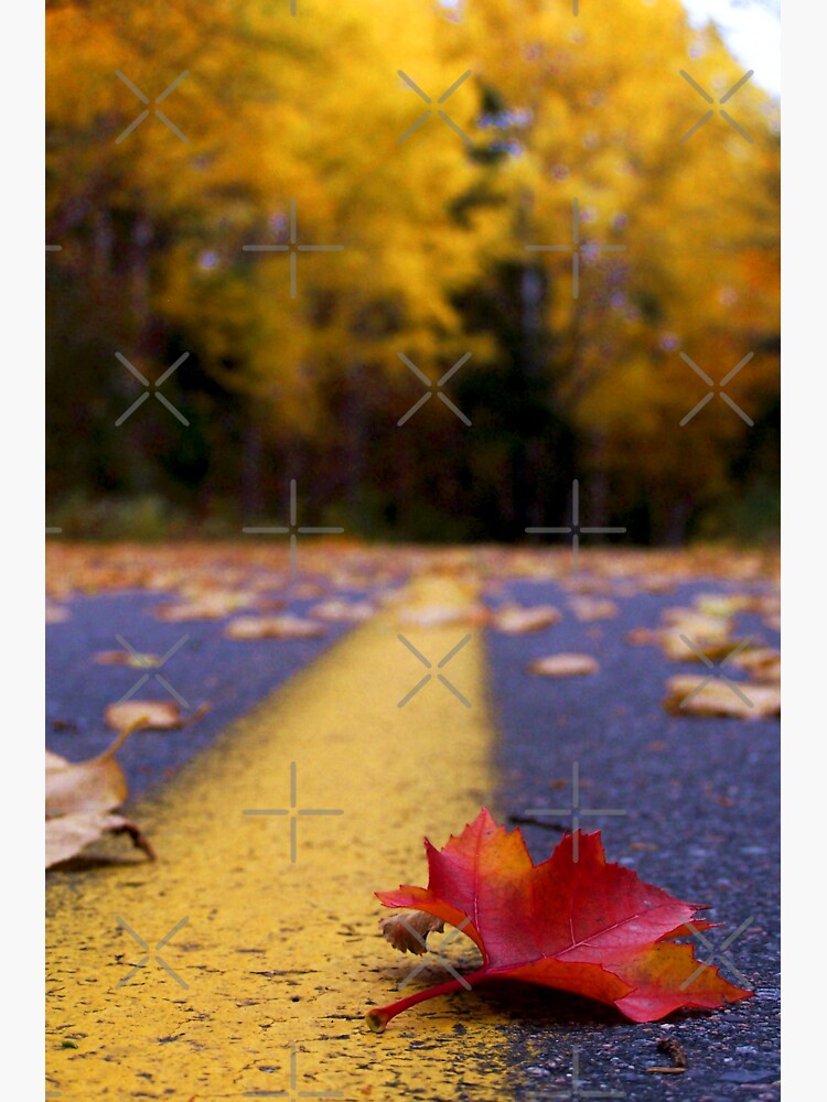 "Trans Canada Highway and Red Maple Leaf" Sticker by WhatOdds | Redbubble