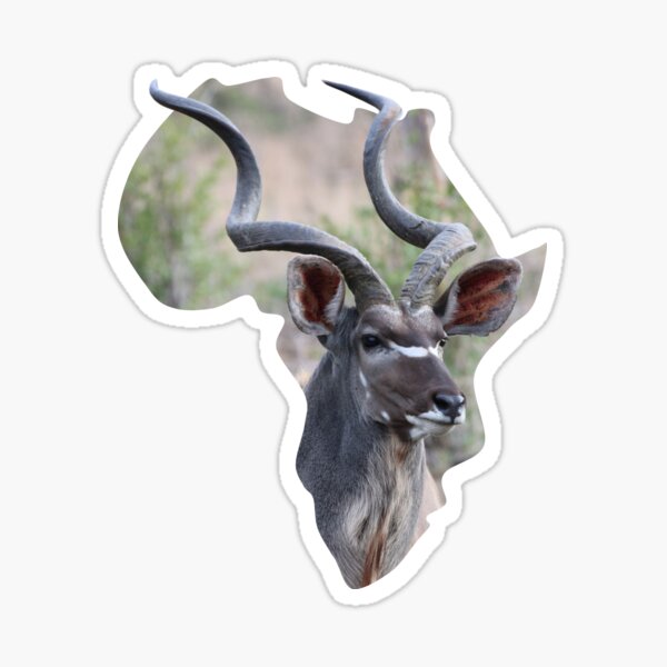 "Africa with Kudu fill" Sticker for Sale by LydenrustCreate | Redbubble