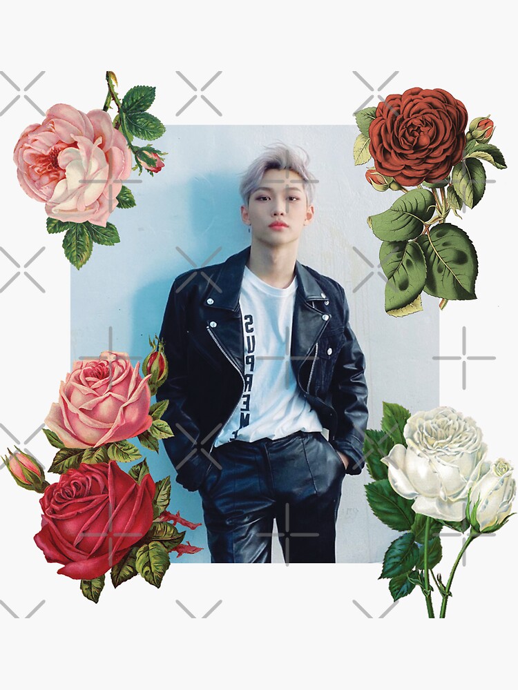 "STRAY KIDS - Felix with Roses VINTAGE Cute SKZ" Sticker for Sale by ...