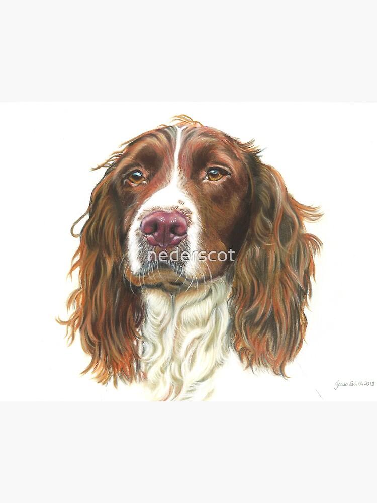 "English Springer Spaniel" Framed Art Print for Sale by nederscot ...