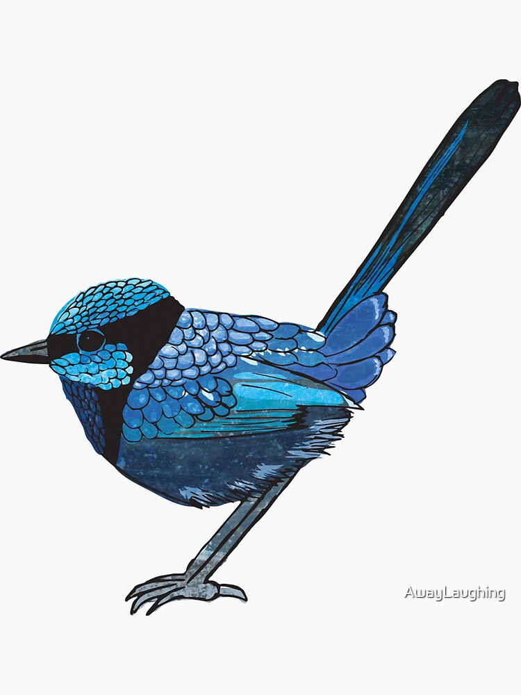 "Fairy Wren" Sticker for Sale by AwayLaughing | Redbubble