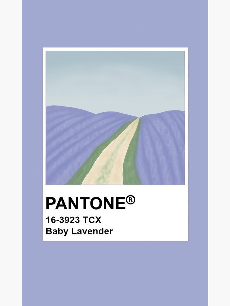 "Lavender Pantone Drawing " Art Print by artbyanouska | Redbubble